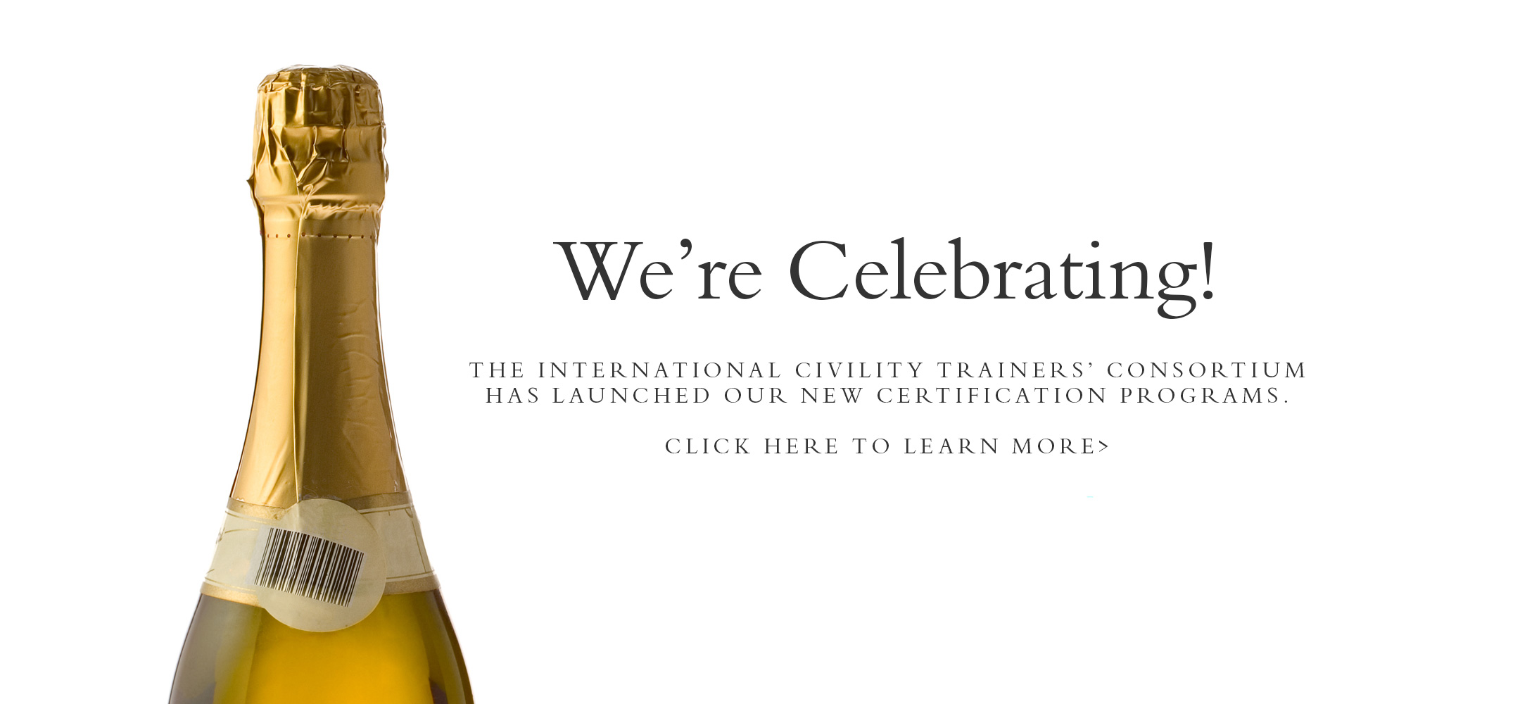 ICTC – International Civility Trainer